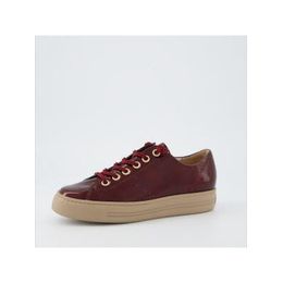 Paul Green Sneaker Low in rot | Gr.: 40,5