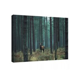 WALLARENA Leinwandbild Wald in Gr&uuml;n | Gr.: 40 x 30 cm