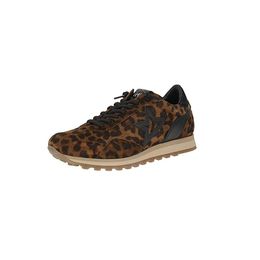 CETTI Sneaker low C-1259 SRA in Braun | Gr.: 38