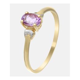 Diamant L'&eacute;ternel Ring aus 375 Gelbgold mit Amethyst | Gr.: 63
