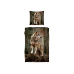 Traumschlaf Bettw&auml;sche Wolf in grau | Gr.: 140x200 cm (70x90 cm)