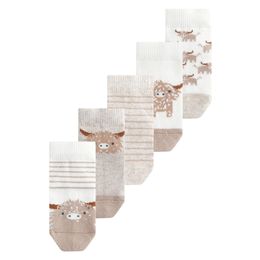 next Socken M&auml;dchen Gr&ouml;&szlig;e 1/2 yrs beige / dunkelbeige / braun / wei&szlig;