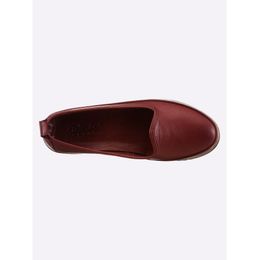 Andrea Conti Slipper in bordeaux | Gr.: 36