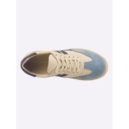 Andrea Conti Sneaker in creme-blau | Gr.: 39
