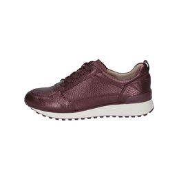 Caprice Sneaker in BORD PERL.DEER | Gr.: 36