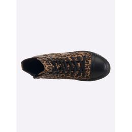 Andrea Conti Sneaker in schwarz-braun-leo | Gr.: 37