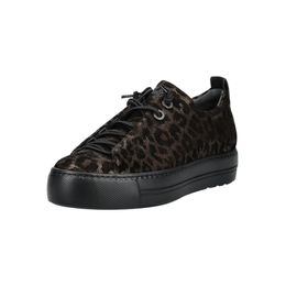 Paul Green Sneaker in Schwarz | Gr.: 38,5