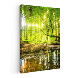 OnlyWow Leinwand Bilder Waldlicht | Gr.: 90 x 140 cm