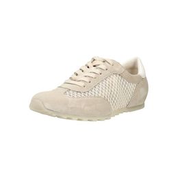 Paul Green Sneaker in Beige | Gr.: 39