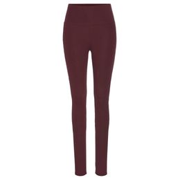 Lascana Leggings in weinrot | Gr.: 32/34