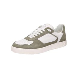 Sioux Sneaker Tedroso-704 in gr&uuml;n | Gr.: 44