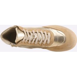 Andrea Conti Damen Sneaker, Gr. 37gold, beige, Glattleder, Leder, Rindsleder, Schuhe