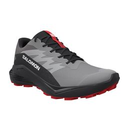 Salomon Herren Trailrunningschuh "ALPHAGLIDE", Gr. 42,5, grau, Synthetik, Textil, Schuhe