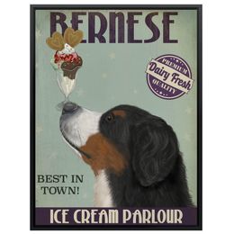 Bilderwelten Leinwandbild - Hochformat Berner Sennenhund mit Eis