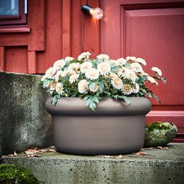 IKEA M&Aring;B&Auml;RSBUSKE Blumentopf