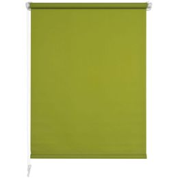 Seitenzugrollo Liedeco, B:80cm H:150cm, gr&uuml;n, Polyester, Rollos, "Klemmfix", inkl. Klemmtr&auml;ger