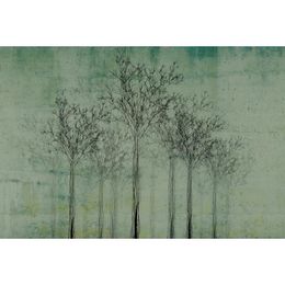 ARCHITECTS PAPER Fototapete &raquo;Atelier 47 Trees Artwork 2&laquo; Wald glatt Vlies, Wand, Schr&auml;ge, Decke gr&uuml;n Vlies B/L: 4m x 2,7m