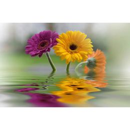 papermoon Fototapete &raquo;BLUMEN-SCHNEEGL&Ouml;CKCHEN PFLANZEN REFLEXION DEKO ABSTRAKT&laquo; bunt Vlies B/L: 2,5m x 1,86m, Bahnen: 5 Stk.