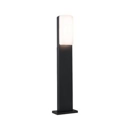 Paulmann LED Pollerleuchte &raquo;Bonnie IP44 600mm 3000K 8,5W 560lm 230VAnthrazit Aluminium&laquo; 1 Stk. Warmwei&szlig; grau 1, H: 60cm, 1 Stk.
