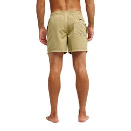 Quiksilver Herren Boardshorts "Everyday Surfwash Volley 15""kelp, Gr. XL, Obermaterial: 100% Polyester., Hosen