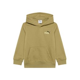 Puma Sweatshirt 'ESS No 1' Jungen Gr&ouml;&szlig;e 152 khaki / schwarz / wei&szlig;