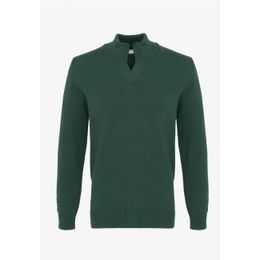 FELIX HARDY Herren Stehkragenpullover "Pullover Stehkragen", gr&uuml;n, Gr. S, 100% Baumwolle, Pullover