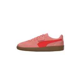 Puma Sneaker 'Palermo' Herren Gr&ouml;&szlig;e 40 altrosa / rot Sommerschuhe