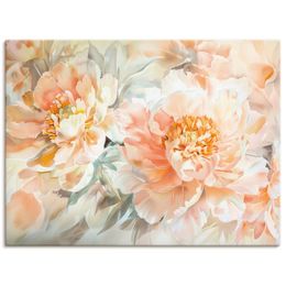 Wandbild Artland, B:60cm H:45cm, beige, Leinwand, Wohnzimmer, Bilder, "Pfirsisch Farbene Pfingstrosen Aquarell", als Alubild, Leinwandbild, Poster,