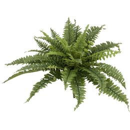 Kunstpflanze Creativ green, H:60cm &Oslash;:70cm, gr&uuml;n, Kunststoff, Kunstpflanzen, "Bostonfarn ohne Topf", mit zahlreichen Farnwedeln
