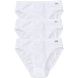 Speidel Damen Jazz-Pants Slips "Britta", Gr. 42, wei&szlig;, Obermaterial: 95% Baumwolle, 5% Elasthan, unifarben, Unterhosen, basic, schlicht, bequem,
