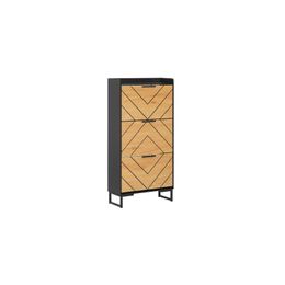 sobuy Schuhschrank mit 3 T&uuml;ren Schwarz 62x24x124cm Modern