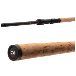 Daiwa Black Widow XT Bait 3,30m 50-125g Allroundrute