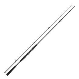 Daiwa Seahunter X 2.40m 40-120g K&ouml;hler-Pilkrute