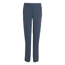 adidas Performance Workout Pants 'FC Bayern M&uuml;nchen Tiro 25 Competition' boy size 176 Basalt grey / Orange red