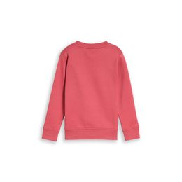 Tom Tailor Jungen Sweatshirt, pink, Gr. 116, Sweatware, Obermaterial: 70% Baumwolle, 30% Polyester, Sweatshirts, mit Logo Stickerei