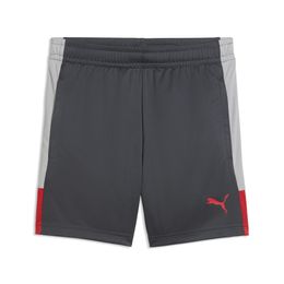 Puma Kinder Sporthose "IndividualLIGA Football Trainingsshorts Jugendliche", grau, Gr. 140, unifarben, Obermaterial: 100% Polyester. Taschenfutter: