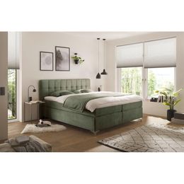 Hapo Boxspringbett &raquo;Neyla erh&auml;ltlich in den Breiten 100, 160, 180 & 200cm&laquo; in verschiedenen Matratzenqualit&auml;ten, H&auml;rtegraden und Farben verf&uuml;gbar gr&uuml;n
