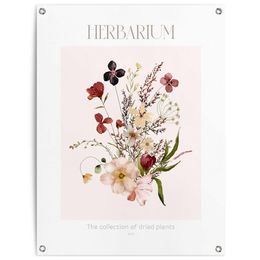 Poster Reinders, B:60cm H:80cm T:0,1cm, bunt, Outdoor, Bilder, "Herbarium", Garten - Mehrfarbig - Leinwand - Blumen und Pflanzen - 60x80 cm