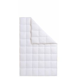 G&auml;nsedaunenbettdecke Frau Holle, B:200cm L:200cm, wei&szlig;, Bezug: 100% Baumwolle. F&uuml;llung: 100% G&auml;nsedaunen, Bettdecken, "Dana, Bettdecken f&uuml;r Sommer