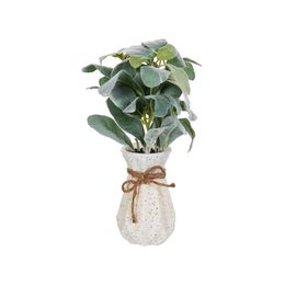 Beliani Kunstpflanze PEPEROMIA ARGYREIA in Gr&uuml;n/Schwarz - (W) 17 x (H) 30 x (L) 17 cm | Gr.: onesize