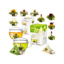 Creano 2x Teelini-Geschenkset - Gr&uuml;ner + Wei&szlig;er Tee | Gr.: onesize