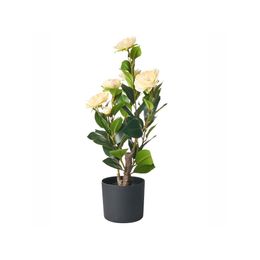 Beliani Kunstpflanze CAMELLIA in Gr&uuml;n/Schwarz/Beige - (W) 30 x (H) 60 x (L) 30 cm | Gr.: onesize