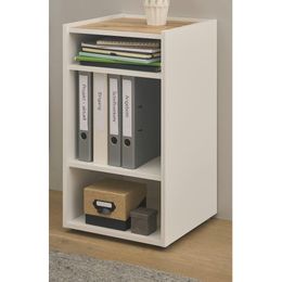 Furn.Design Standcontainer Wei&szlig; matt, Eiche Wotan 40 x 70 cm, Aktenregal mit 3 F&auml;chern | Gr.: onesize