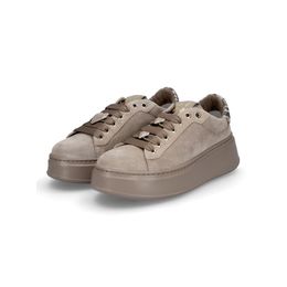 GIO+ Sneaker PIA430A in Taupe | Gr.: 42