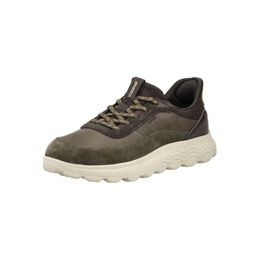 Geox Sneaker SPHERICA PLUS A in Military | Gr.: 40