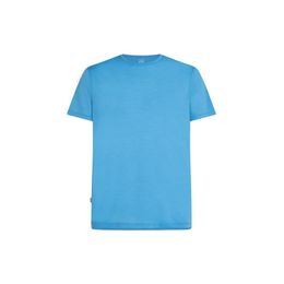 Icebreaker T-Shirt in blau | Gr.: XL