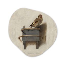 OnlyWow Organische Wandbild Grau | Gr.: 40 x 40 cm