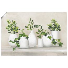 Wandbild Artland, B:120cm H:80cm, gr&uuml;n, Papier, Wohnzimmer, Bilder, "Plant Life IV", als Alubild, Leinwandbild, Poster, Wandaufkleber in verschied.