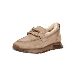 Hispanitas Slipper OREGON-I6 in Taupe | Gr.: 39