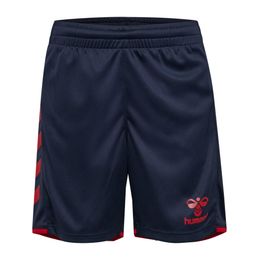 Hummel Workout Pants boy size 164 Dark blue / Red